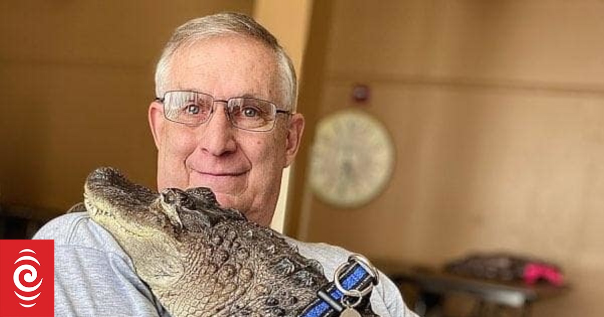 'He does a lot of cuddling': Alligator offers owner emotional support ...