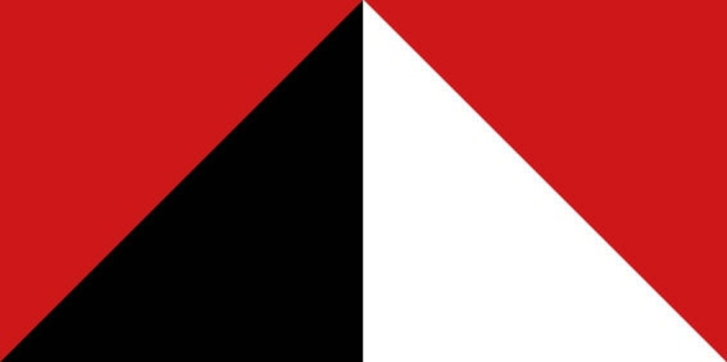 Flagged flags - what could have been | RNZ News