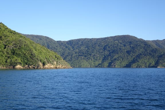 Tuia 250 at Meretoto/Ship Cove | A Gallery from News | RNZ