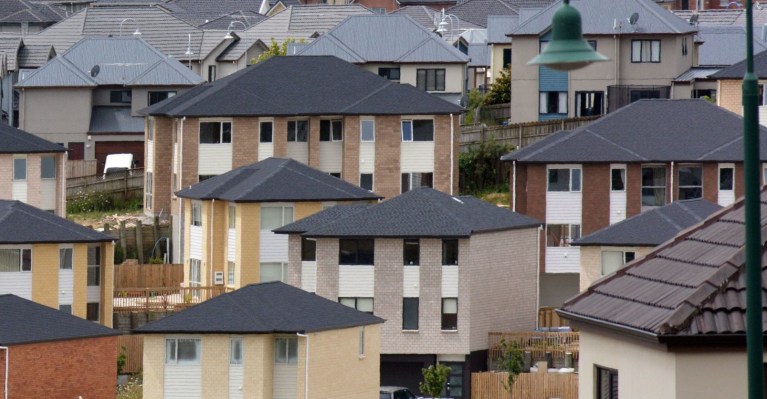 Government counters with its own housing figures | RNZ