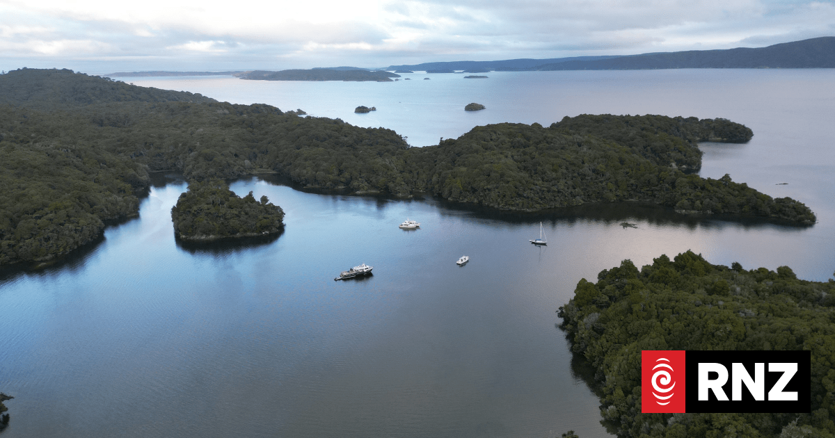 Council staff face 'emerging tensions' on Rakiura/Stewart Island | RNZ News