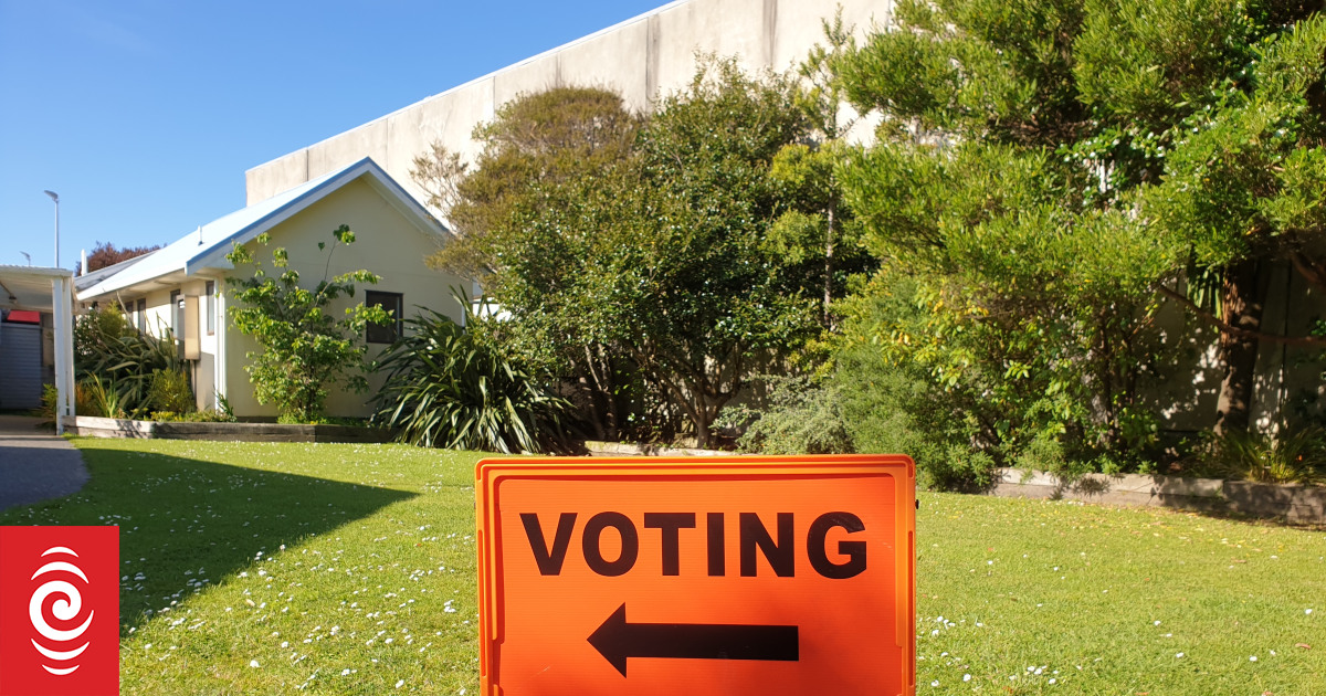 Race heats up as 12 people contest in the Hamilton West by-election ...