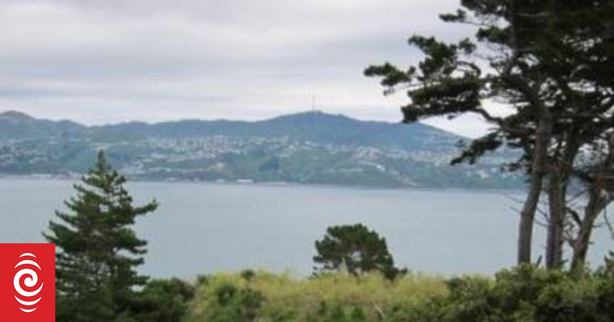 Public reserve still on cards for Wgtn's Watts Peninsula | RNZ News