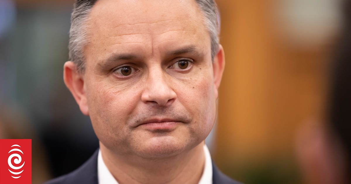 Political commentators Neale Jones and Tim Hurdle | RNZ