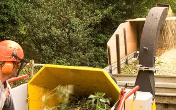 Worker loses leg after wood chipper accident | RNZ News