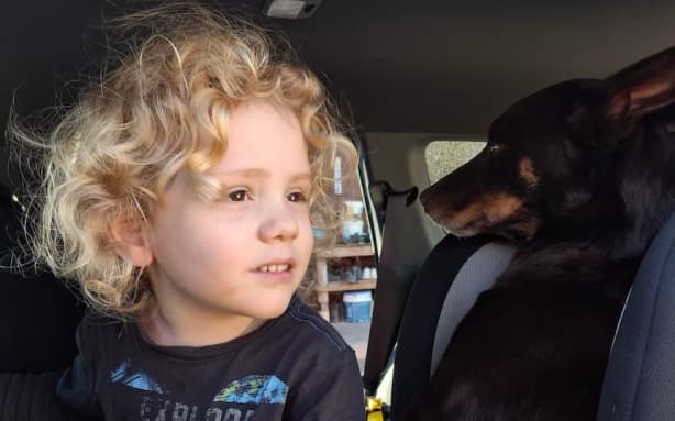 Gus Lamont's grandmother Josie Murray denies involvement in boy's ...