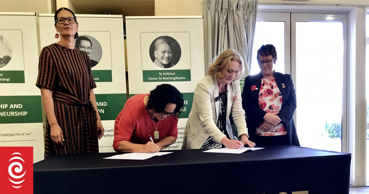 Waikato-Tainui signs agreement with Oranga Tamariki | RNZ News