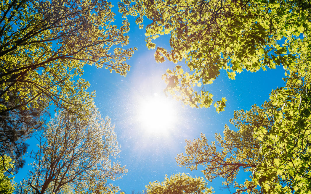 Summer’s last weeks could be a bit of a roller coaster, but it’s not ...