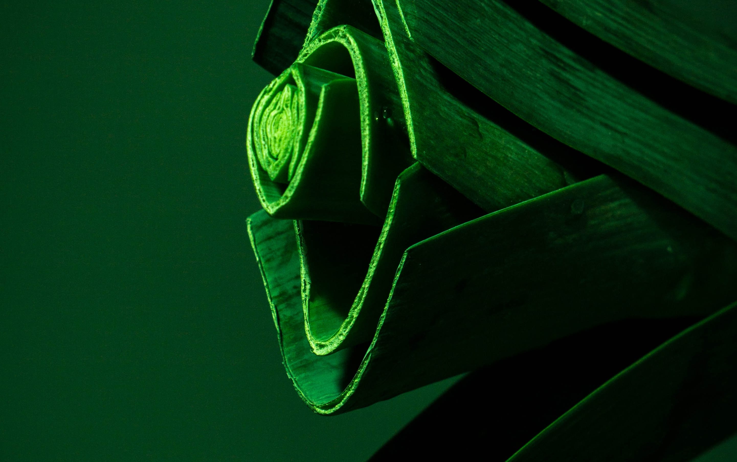 Take a leek: our six best leek recipes | RNZ