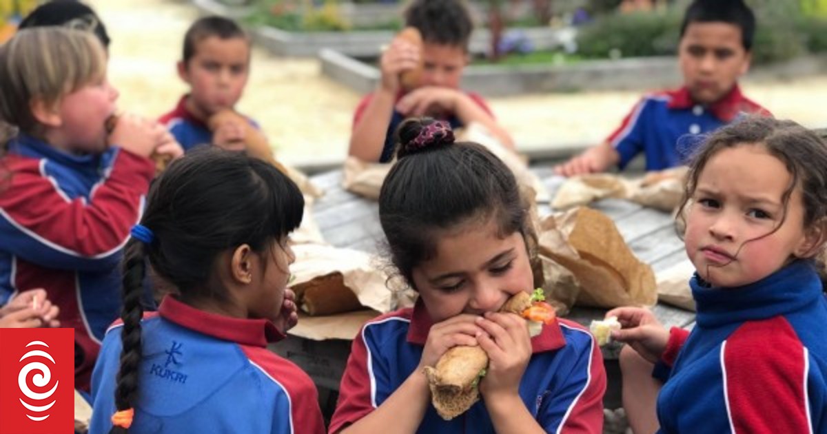 The Panel with Nalini Baruch and Peter Field (Part 1) | RNZ