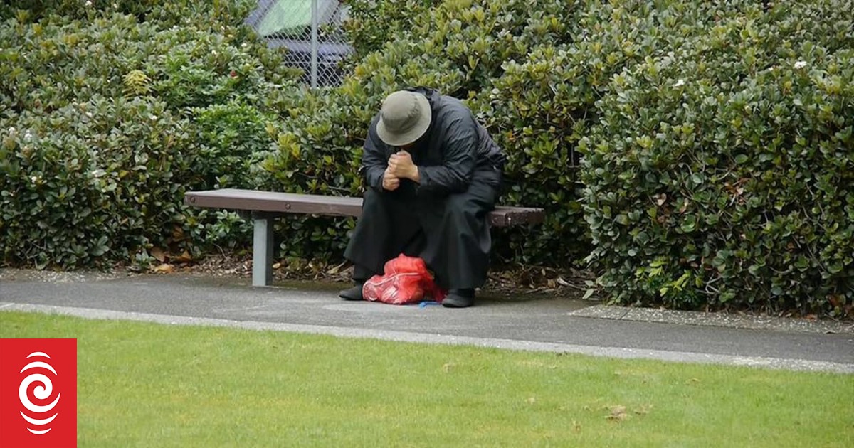 Homelessness project earns Tongan-born artist award | RNZ News