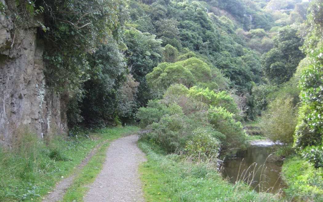 Restoring Wellington's largest stream system | RNZ