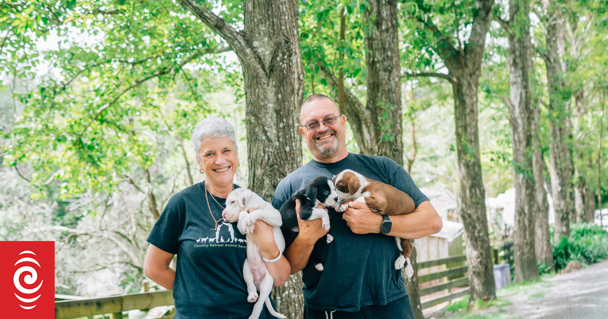 How to raise a good dog: Tips from the stars of The Dog House NZ | RNZ