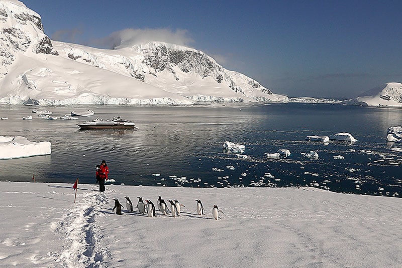 Scenes from the Antarctic Peninsula | A Gallery from Nine To Noon | RNZ ...