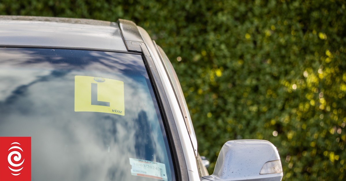 Driver's licence delays: Potential testing staff take aim at NZTA | RNZ ...
