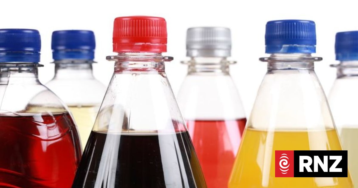 Public health experts urge action on obesity | RNZ