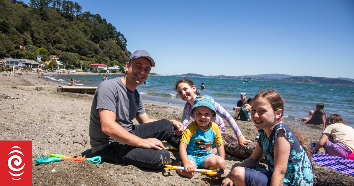 Wellington weather: A 'pretty average' amount of good days | RNZ News