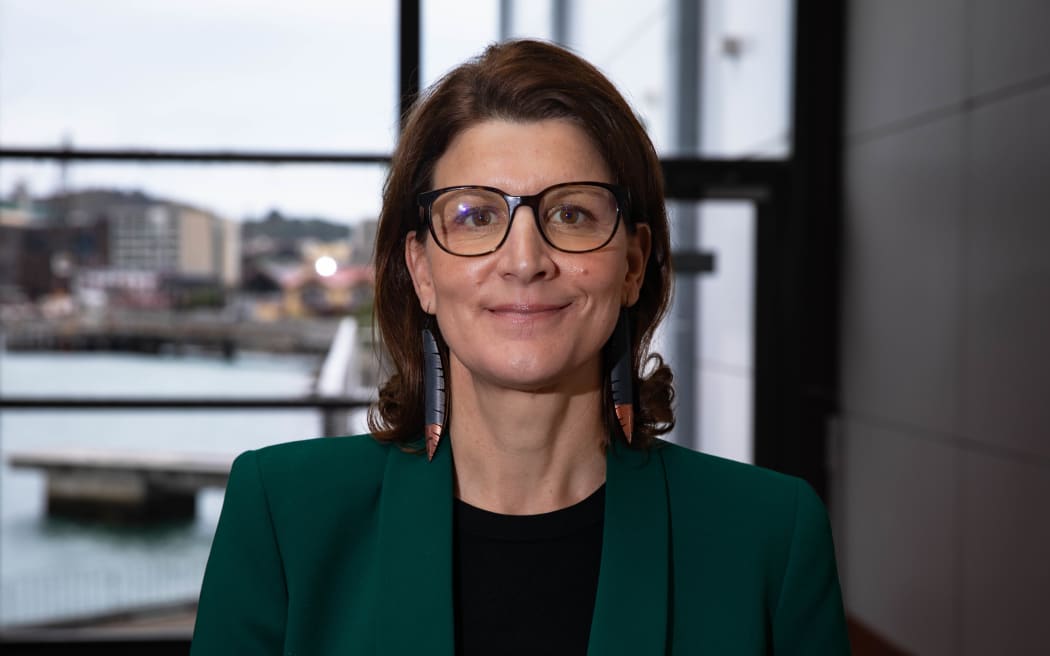 'We had a democratic process' for Māori ward, Gisborne Mayor says | RNZ ...