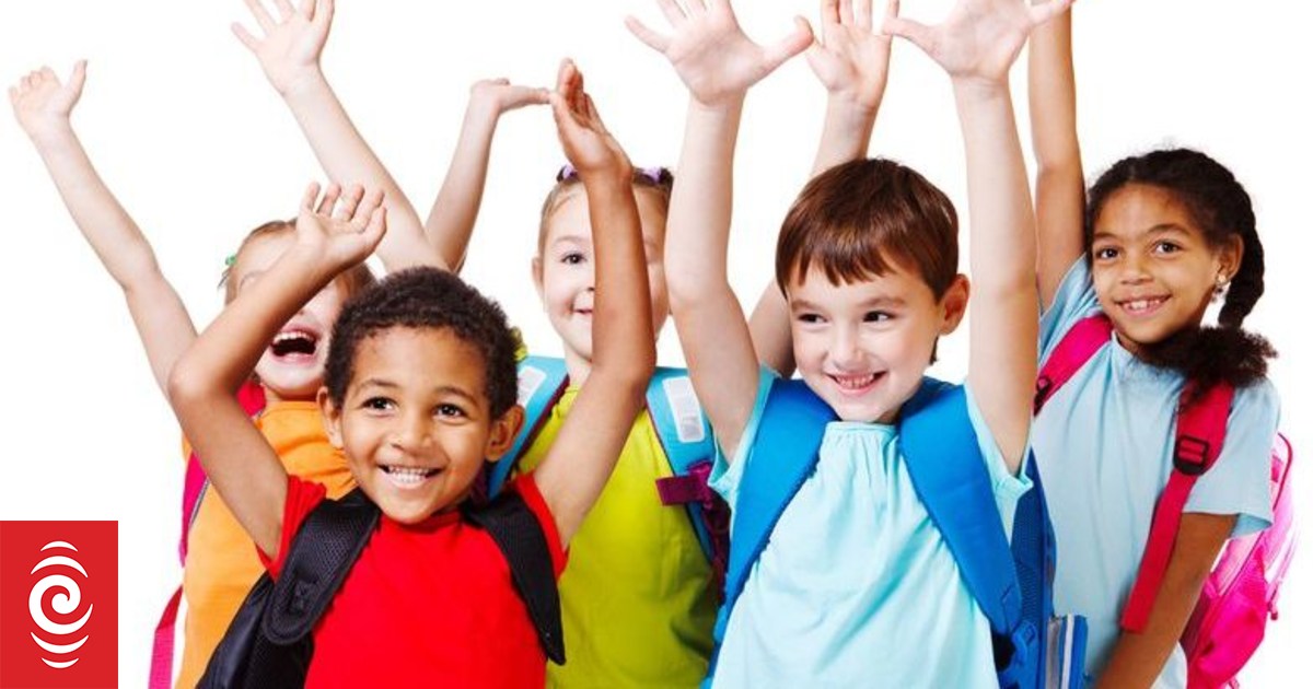 School behaviour programme gets pass mark | RNZ News