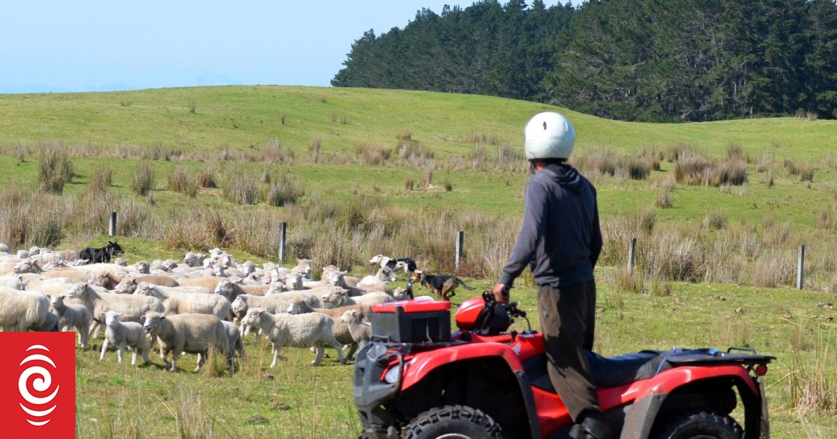 Landcorp launches safety programme after deaths | RNZ News