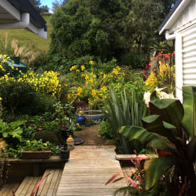Gordon Collier's magical home gardens | RNZ