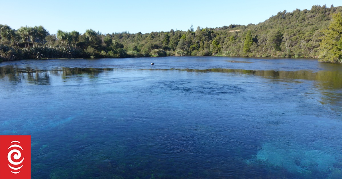 EPA considering protecting NZ's largest freshwater springs | RNZ