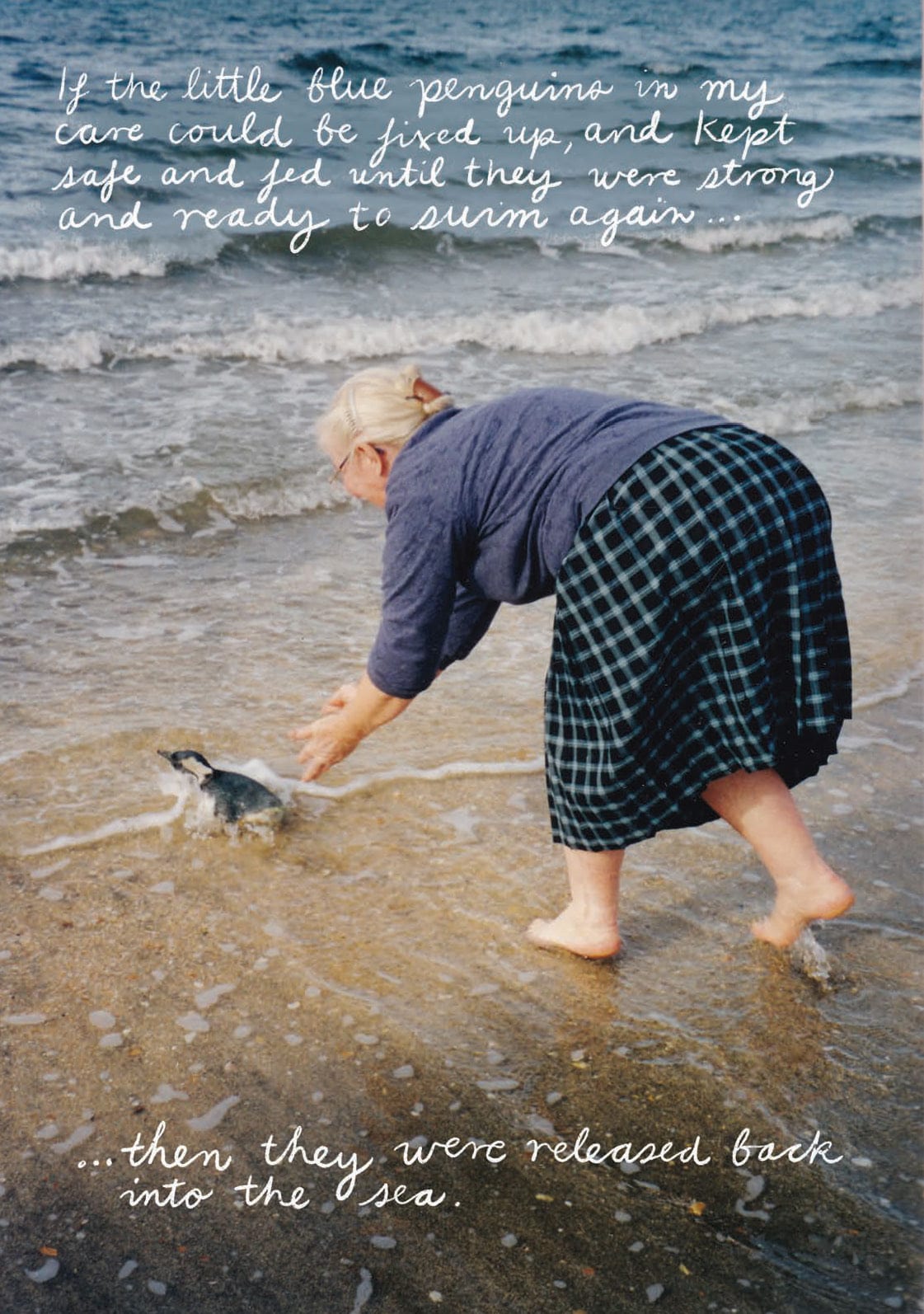 Johanna Emeney and Sarah Laing: picturing Auckland’s famous bird lady | RNZ