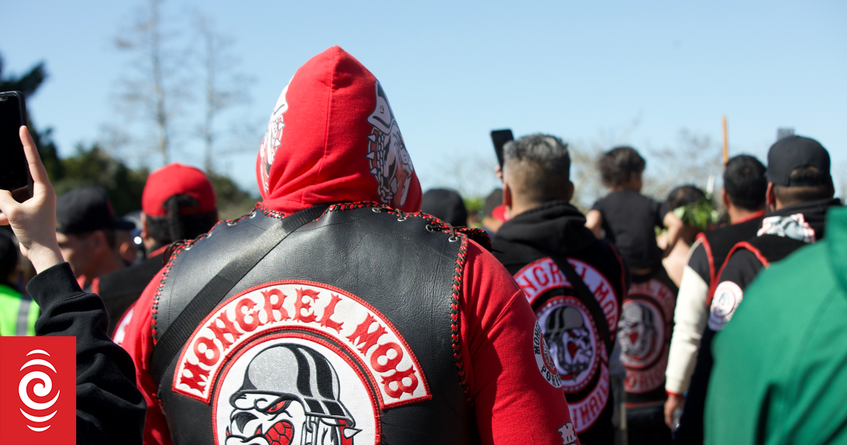 Police appeal judges' decisions to return confiscated gang patches ...