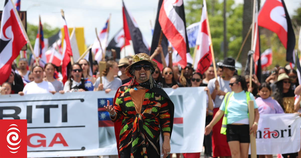Live: Day three and the hīkoi moves through Auckland | RNZ News