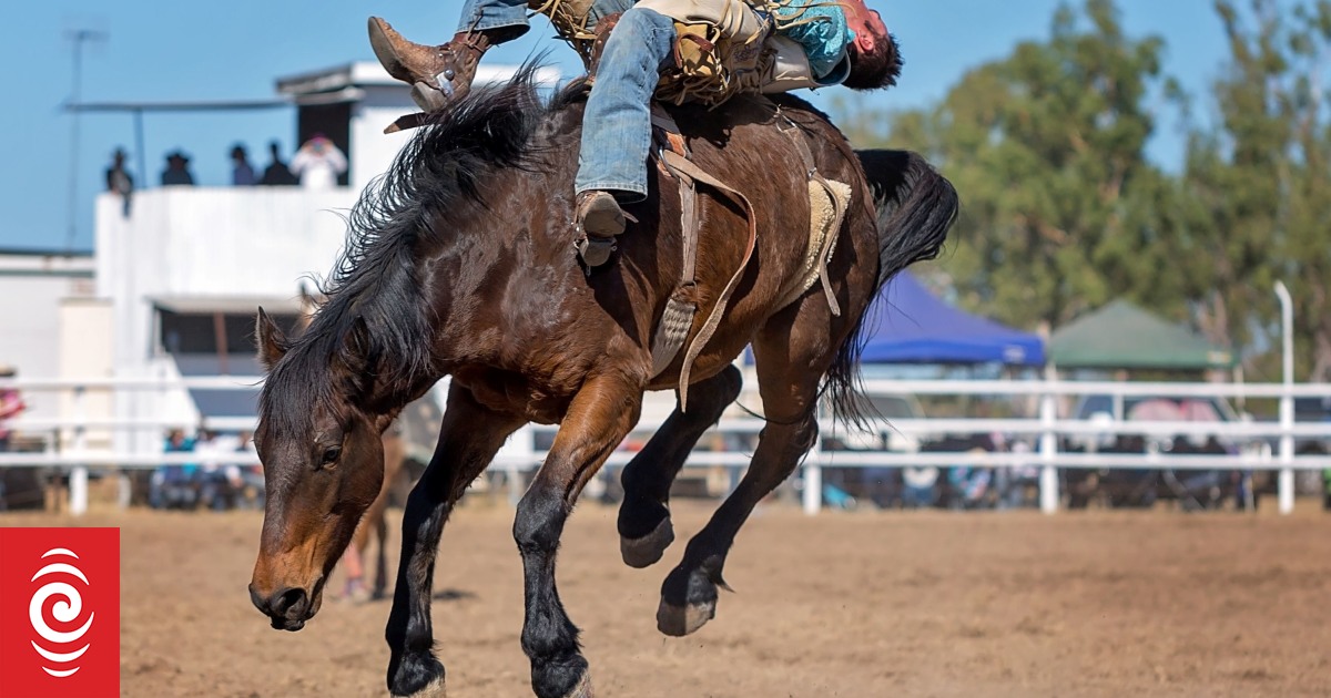 Horse’s death at rodeo ‘an accident issue’ | RNZ