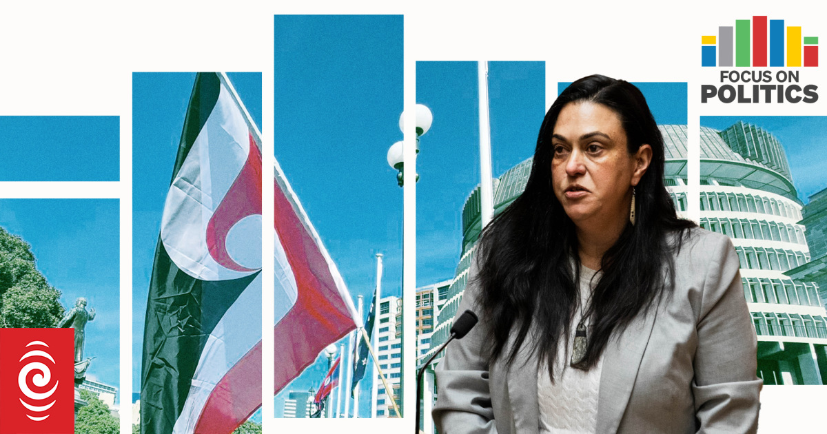 7AA repeal: Why ACT's policy faces heartfelt resistance | RNZ News