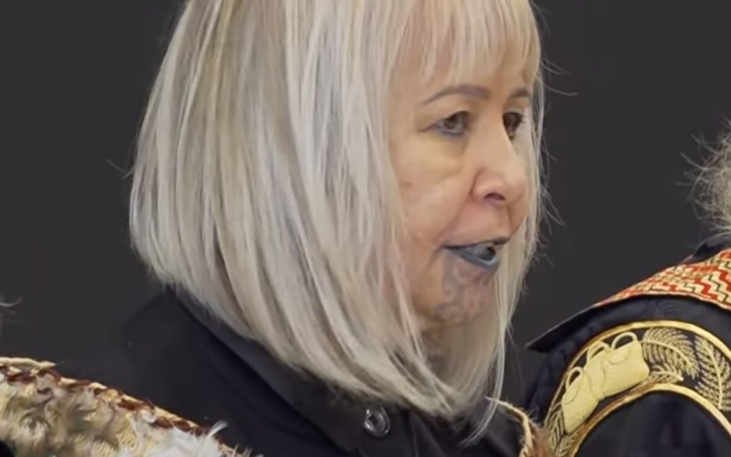 Māori Land Court Chief Judge Caren Fox to chair Waitangi Tribunal | RNZ ...
