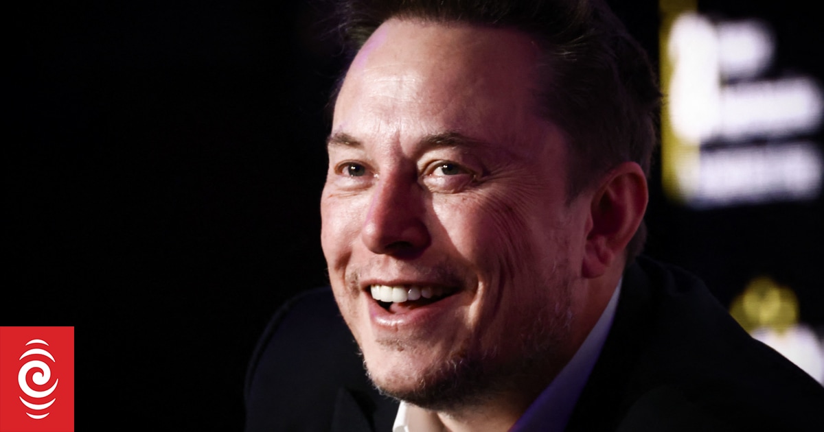 German politicians decry Elon Musk's AfD support as 'intrusive ...