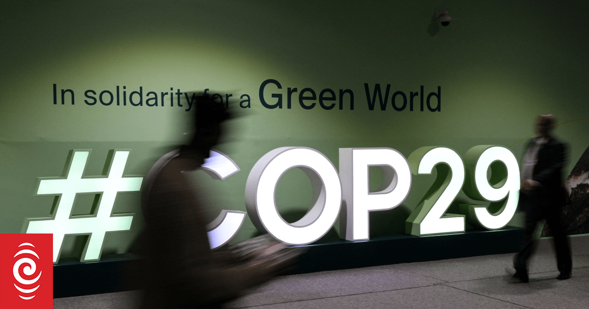 COP29 clinches $300 billion climate finance deal | RNZ News