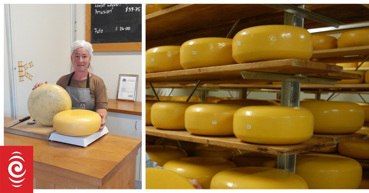Champion producers of Dutch cheese in North Canterbury | RNZ