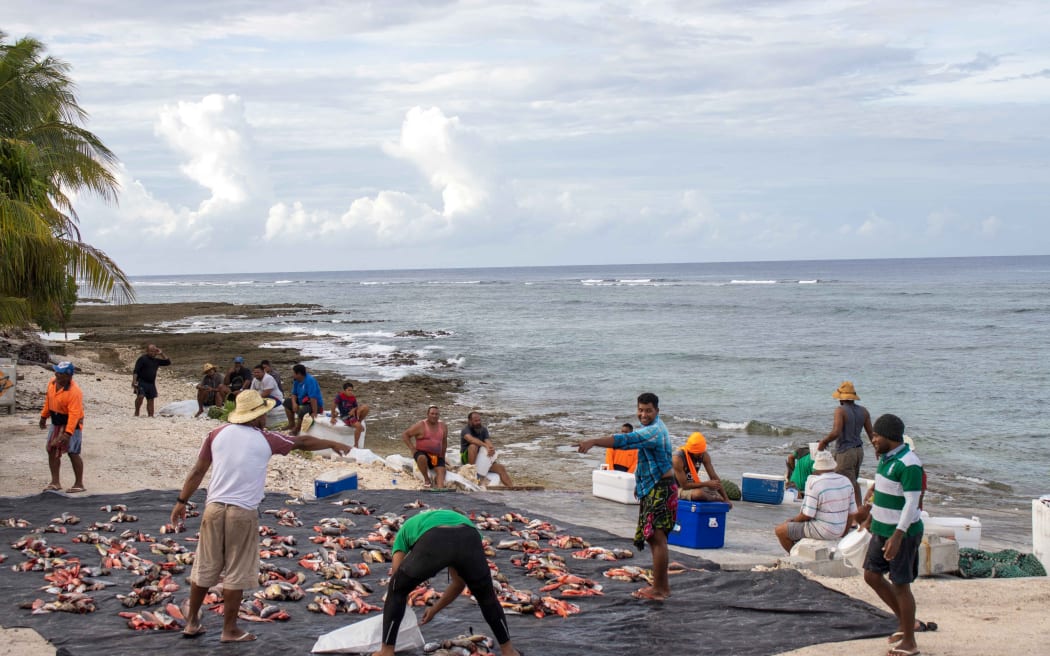 Tokelauan Fishing Quest: sharing adventure, food and tradition | RNZ News