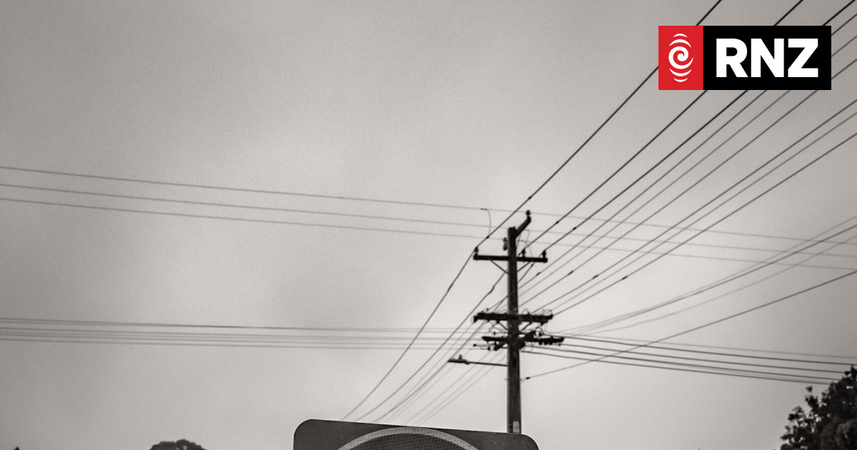 Wairau Valley Regeneration: A Potential Marlborough Treasure - World ...