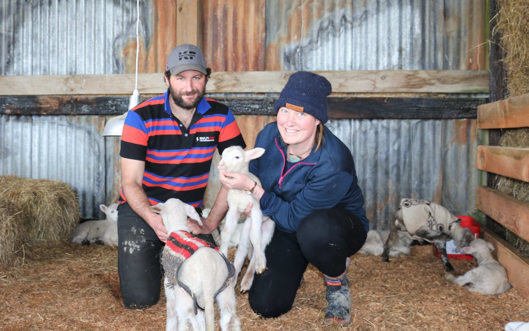 Moving to the lambing beat | RNZ