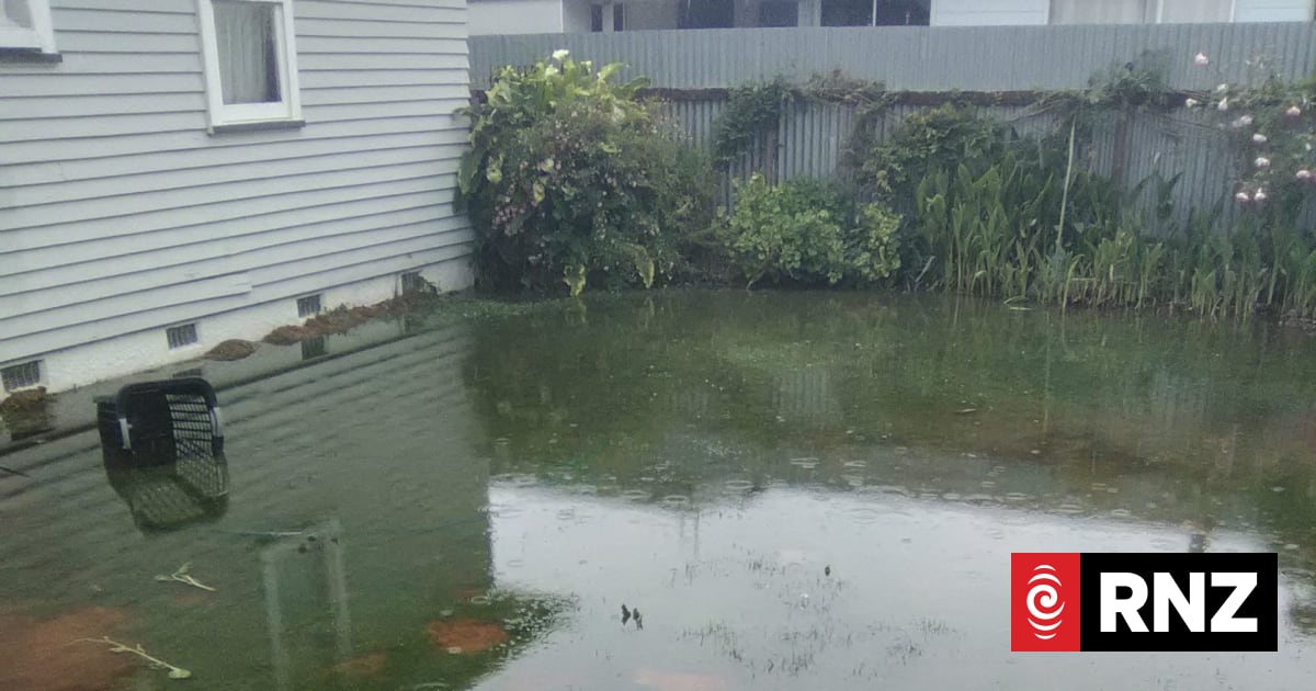 Plumbing mistakes key cause of sewage in flooded Masterton backyards | RNZ