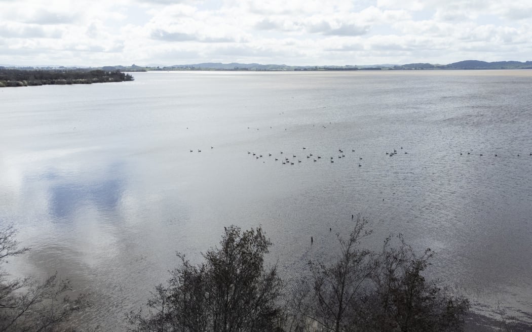 The reason why toxic algae thrives in Waikato’s lakes | RNZ News