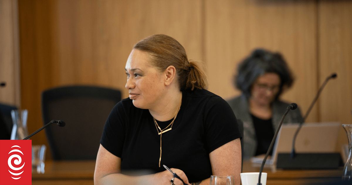 Simeon Brown threatens to intervene over Wellington City Council | RNZ News