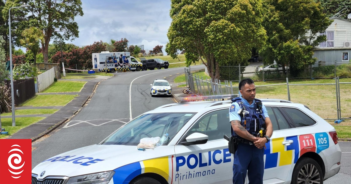 Police believe more than one person present during assault before ...