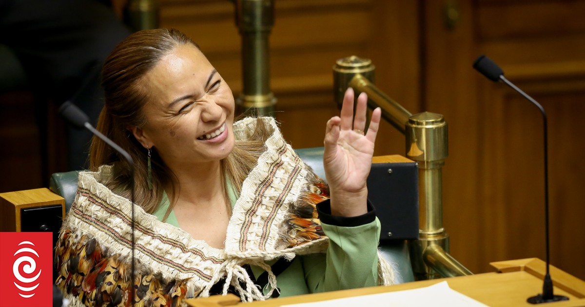 New Green MP welcomed to Parliament | RNZ News