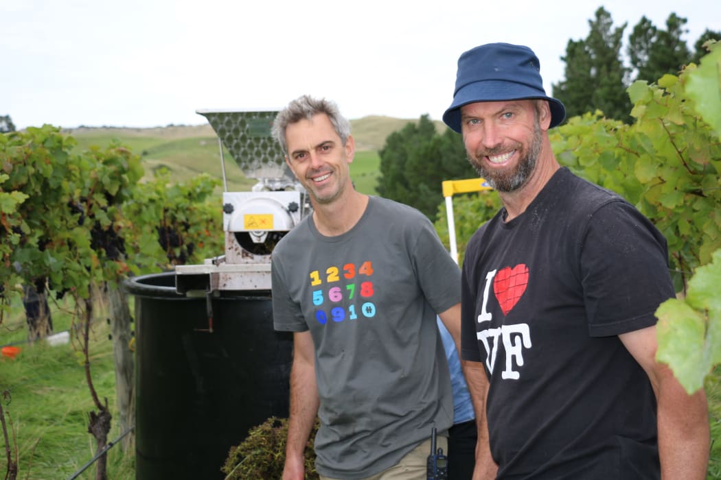 A natural ferment - it's the yeast we can do | RNZ