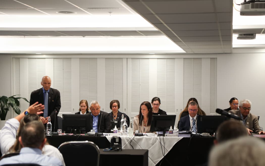 Educators call on crown to pause contentious changes to Waitangi Treaty ...