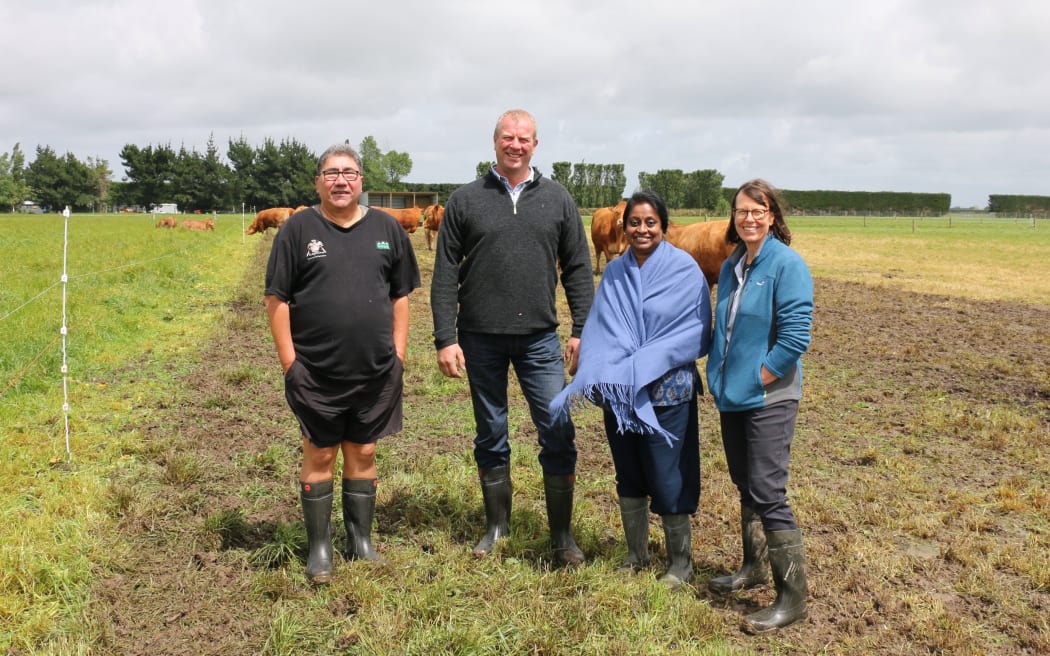 'I was given a cow and taught how to make a shed' | RNZ