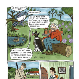 Johanna Emeney and Sarah Laing: picturing Auckland’s famous bird lady | RNZ