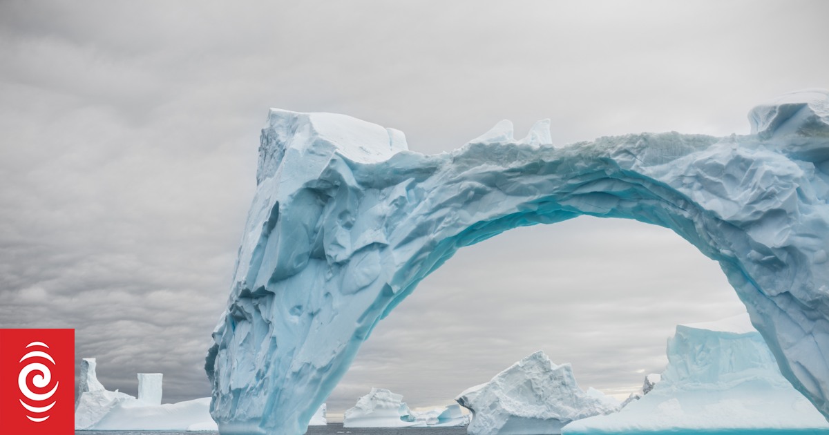 Alison Ballance retrospective 3: Voice of the Iceberg | RNZ