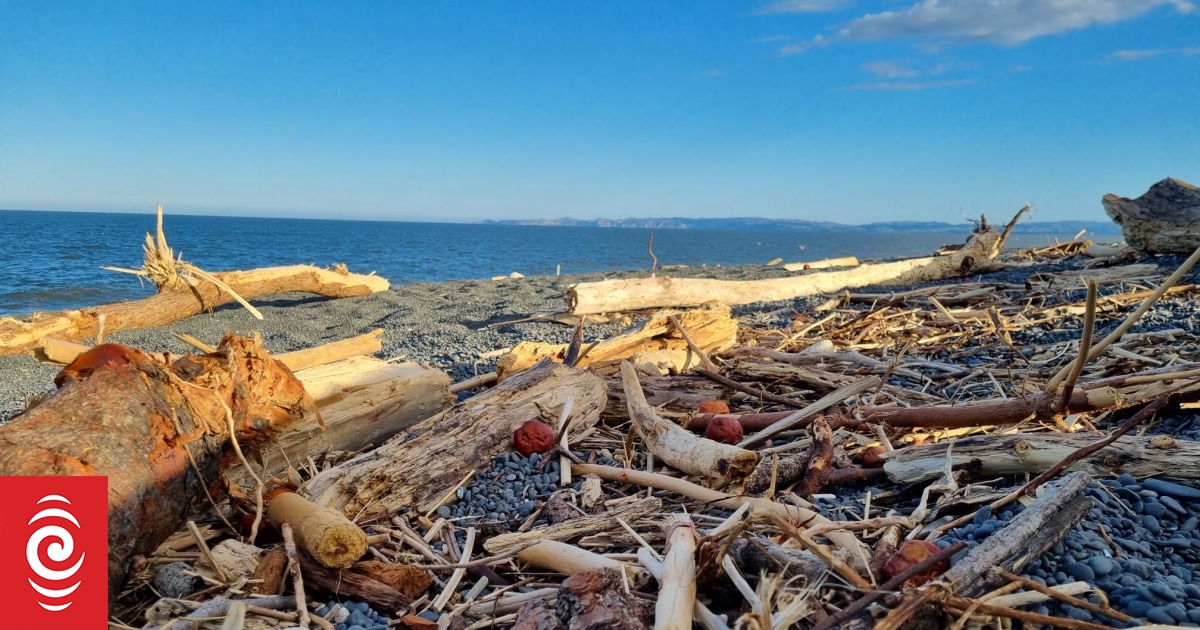 The Panel with Niki Bezzant and Mark Knoff-Thomas (Pt 2) | RNZ