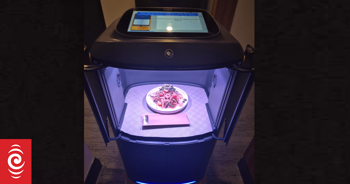 The robots already working in New Zealand hotels | RNZ News